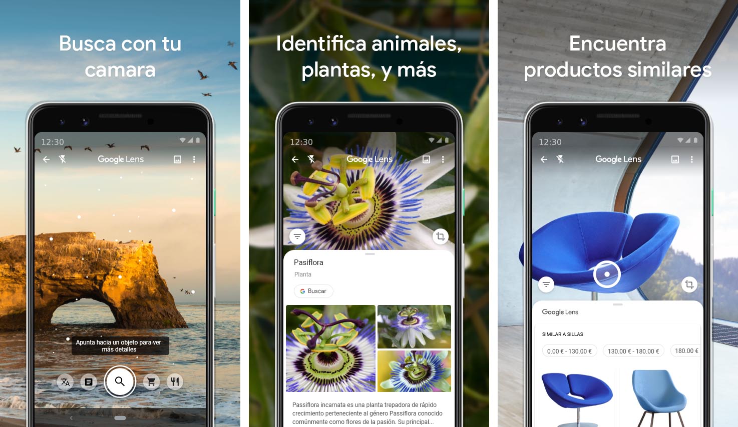 Buscar por imagen con Google y otras alternativas