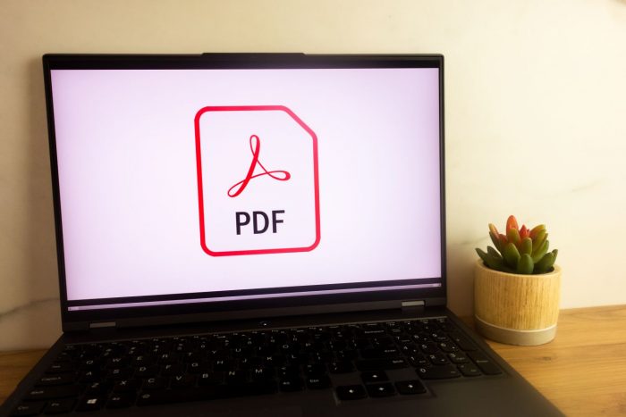 ¿Cómo convertir un PDF a Word? Descubre iLovePDF y sus trucos